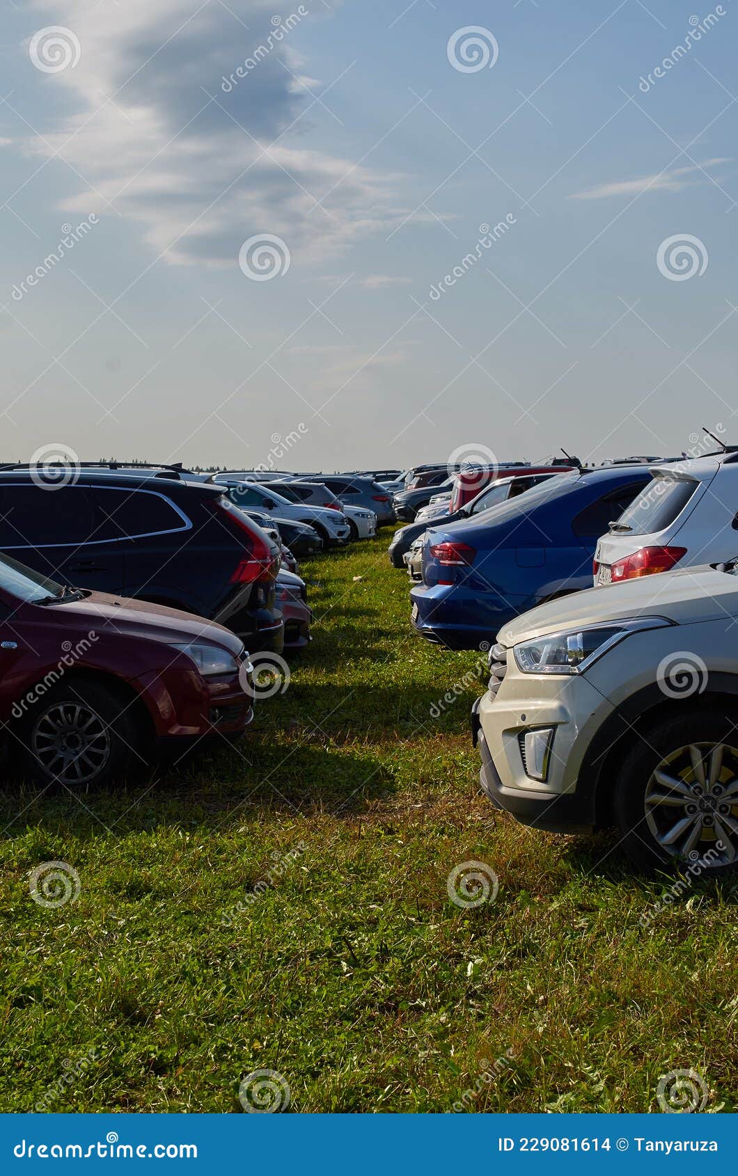 The Space between the Cars Parked on the Lawn. Stock Photo - Image of ...