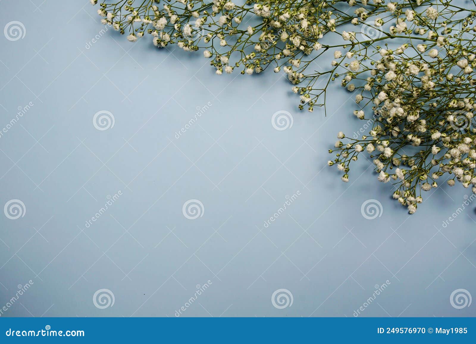 Space for Copy Background and Flower Decoration on Blue Background ...
