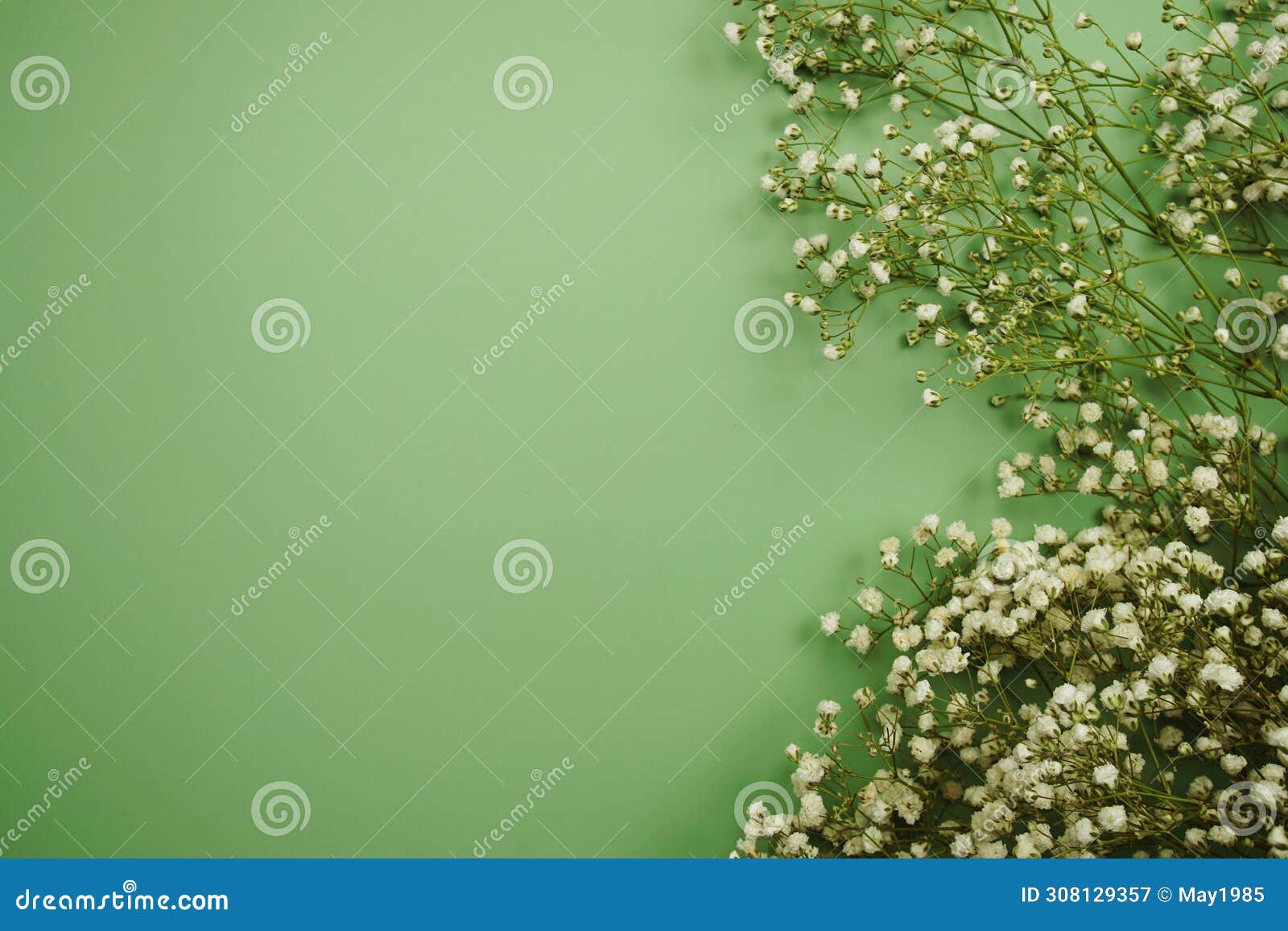 Space for Copy Background and Flower Decoration Stock Image - Image of ...