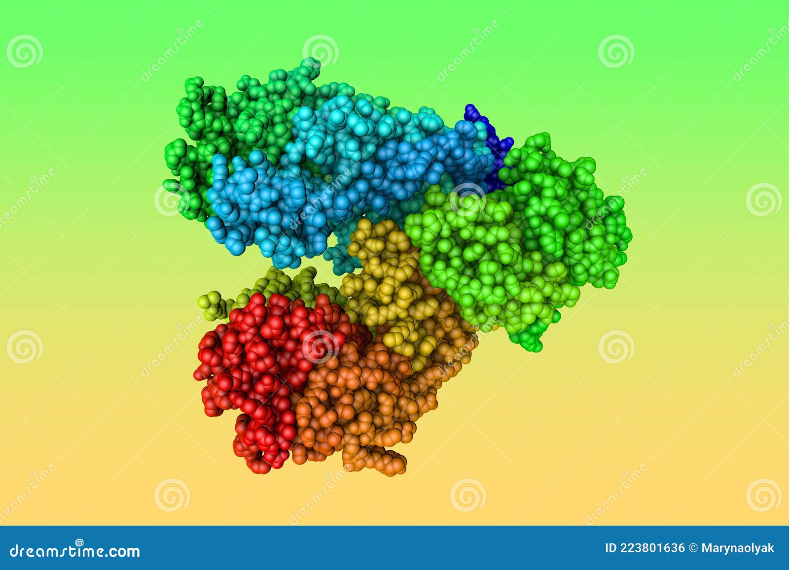 Anthrax Toxin Lethal Factor. Crystal Structure Of Toxin Produced By ...