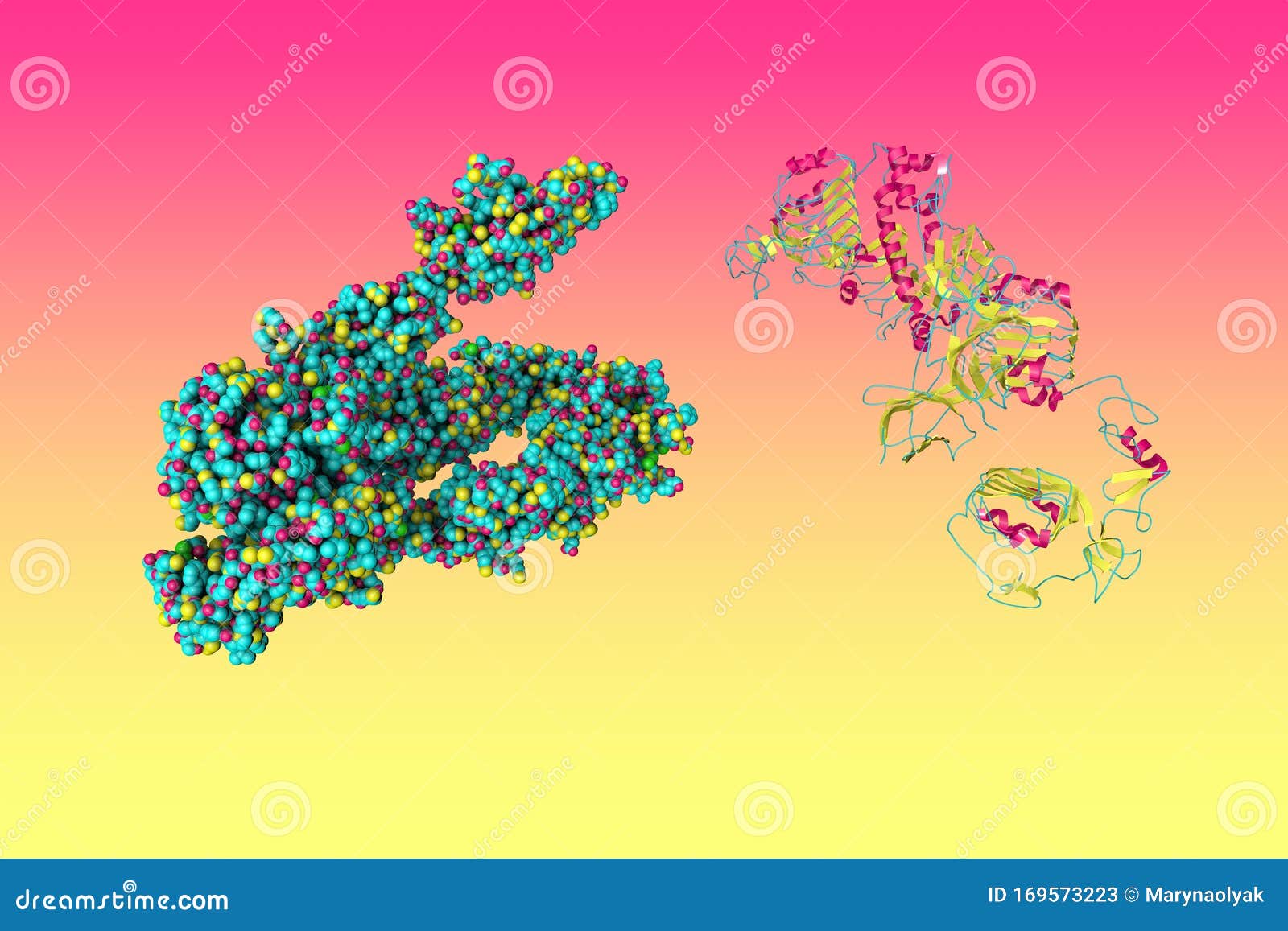 Space-filling Molecular Model and Crystal Structure of the Insulin ... Space-filling Molecular Model and Crystal Structure of the Insulin ...