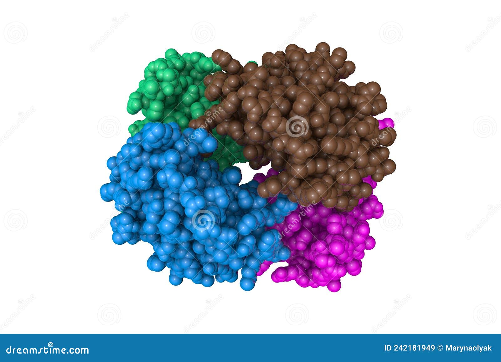 Space-filling Molecular Model of Human Deoxyhaemoglobin ...