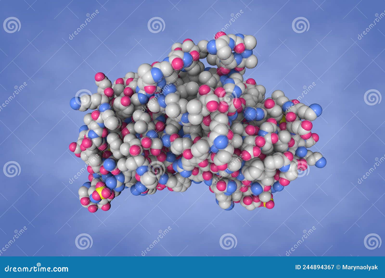 Space-filling Molecular Model Of Human Fibroblast Growth Factor 20 ...