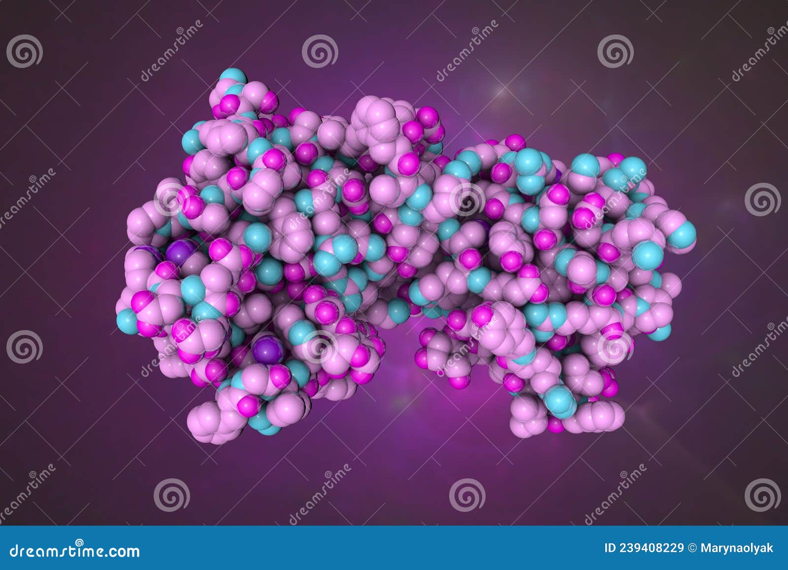 Space-filling Molecular Model of Human Galectin-14, a Member of the ...