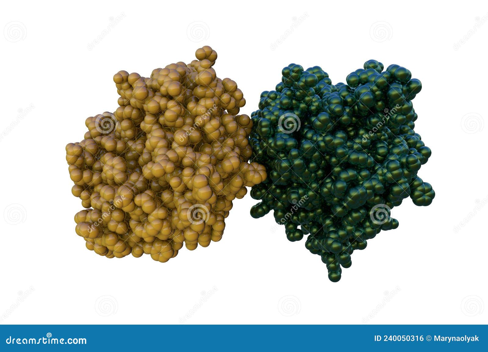 Space-filling Molecular Model of Human Gastric Lipase. Rendering with ...