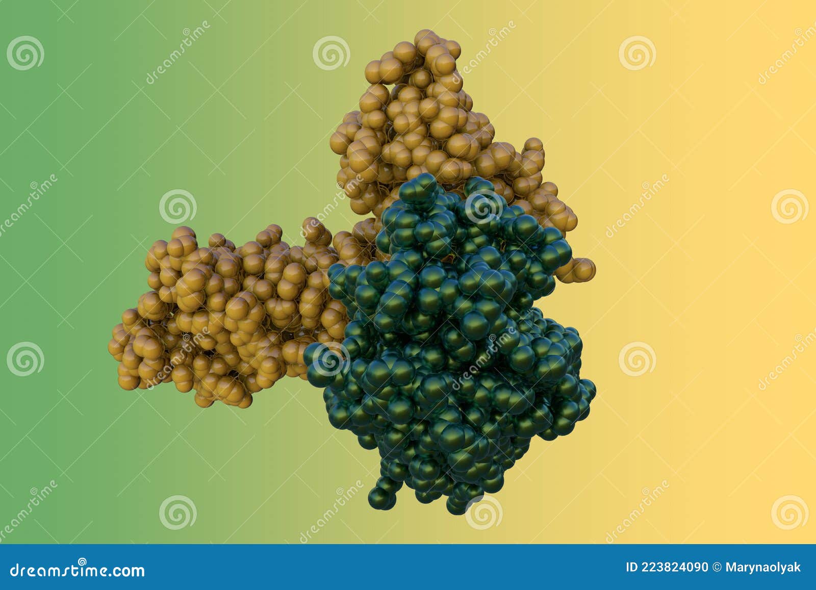 Space-filling Molecular Model of Human Grows Hormone. Rendering with ...