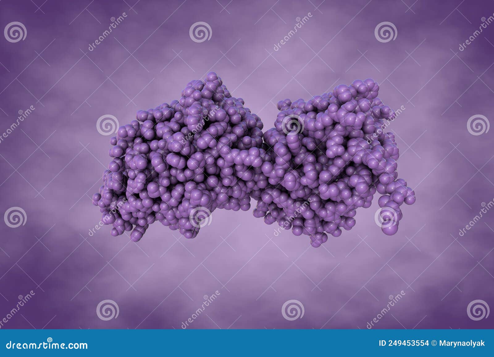 Space-filling Molecular Model of Human Intelectin-1, Also Known As ...