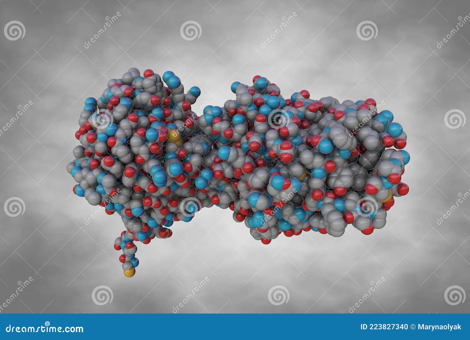 Space-filling Molecular Model of Human Intelectin-1. Atoms are ...