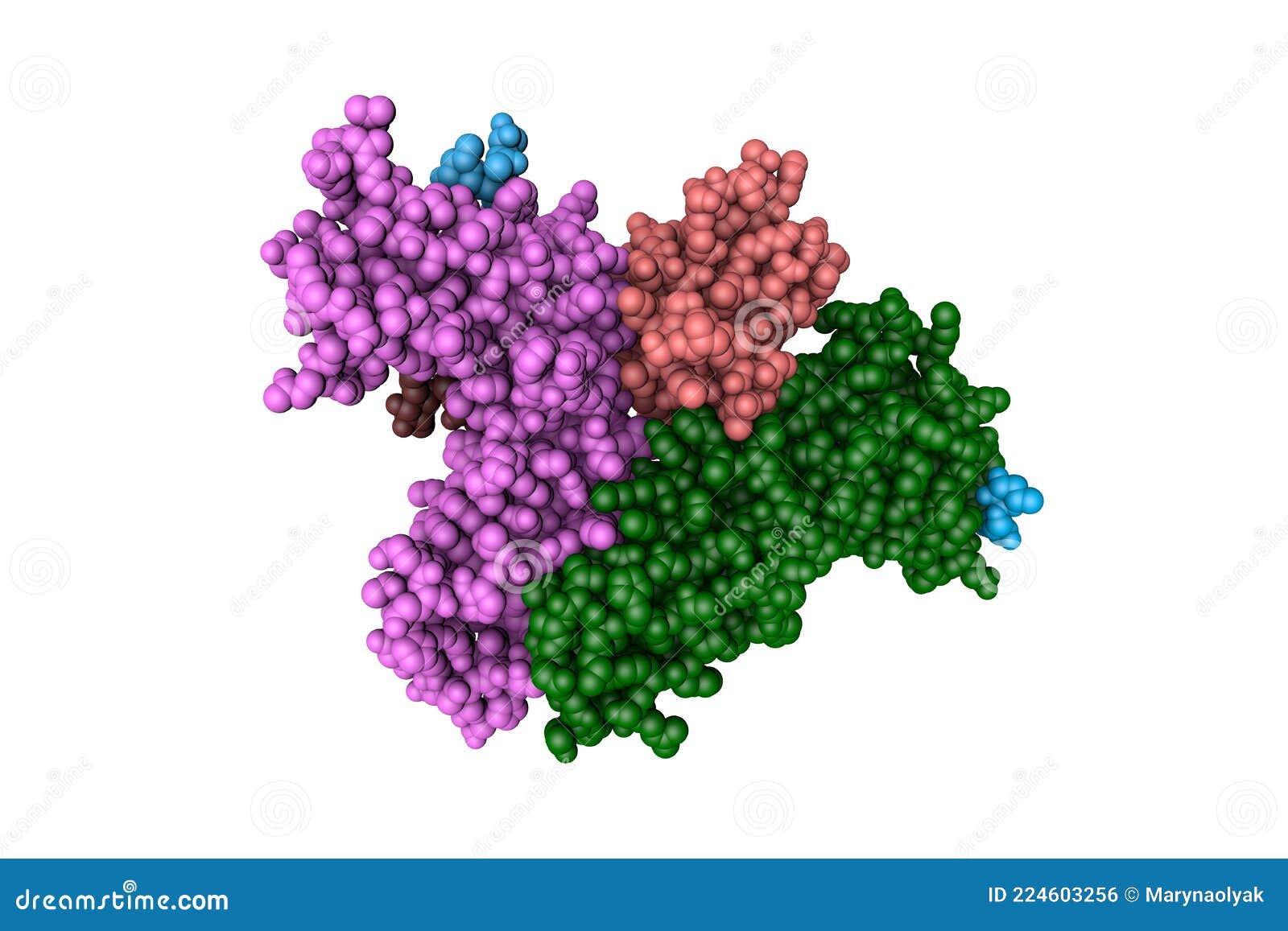 Human Interleukin-7 With Unglycosylated Interleukin-7 Receptor Alpha ...