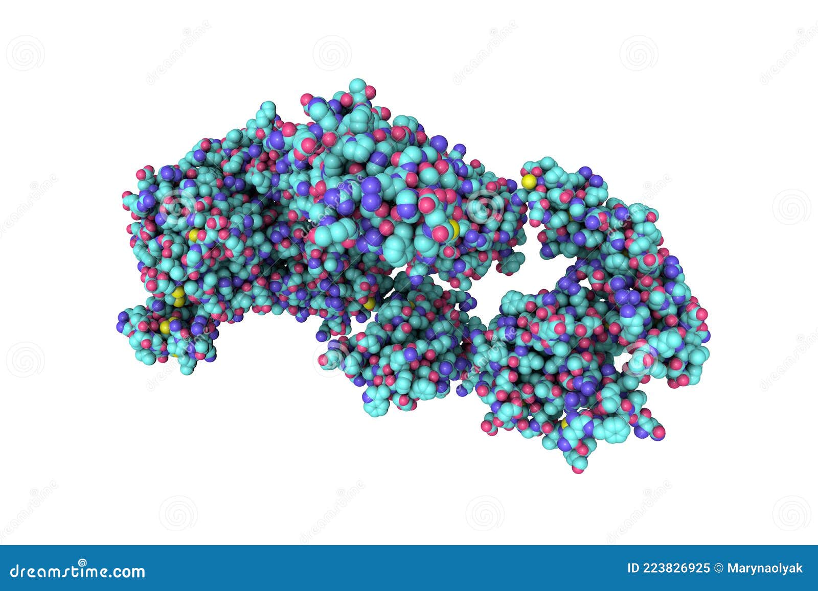 Insulin Receptor Ectodomain In Complex With Insulin Molecule. 3d ...