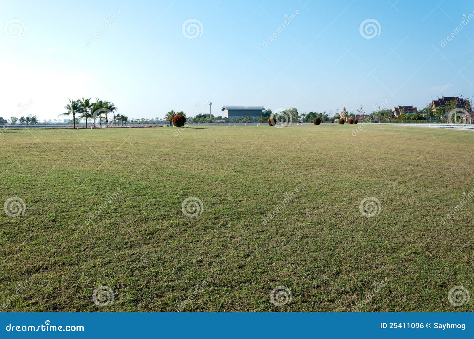 Space of grass garden stock photo. Image of field, lawn - 25411096