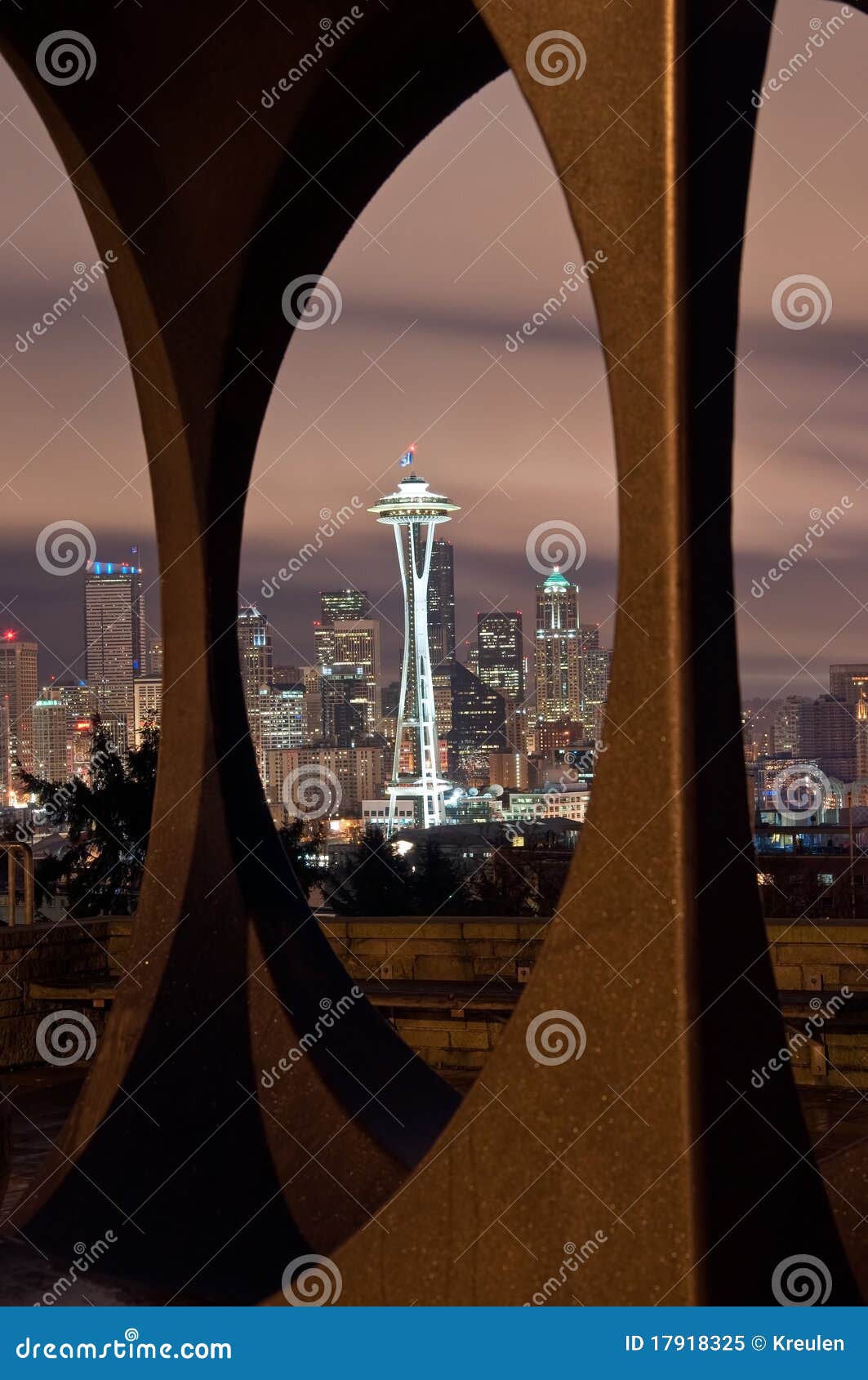 Space Needle and Seattle Skyline Framed Editorial Image - Image of ...