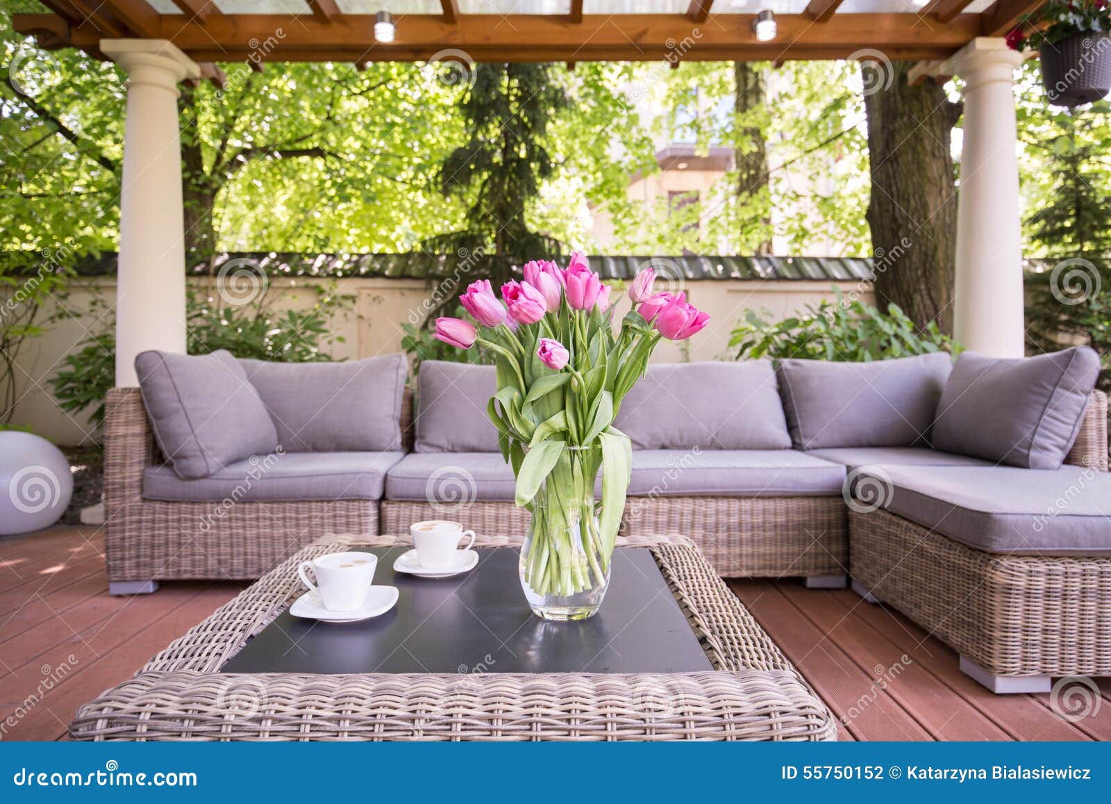 Space for relax stock photo. Image of home, countryside - 55750152