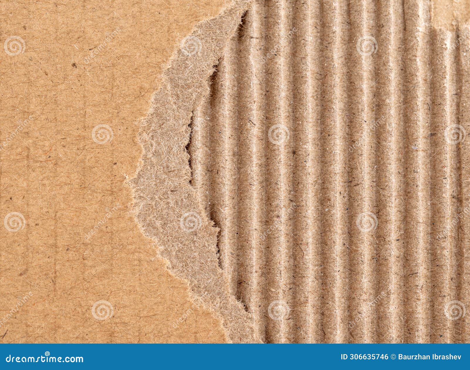 Space on Ripped Cardboard Paper Texture with Torn Edges Stock Photo ...