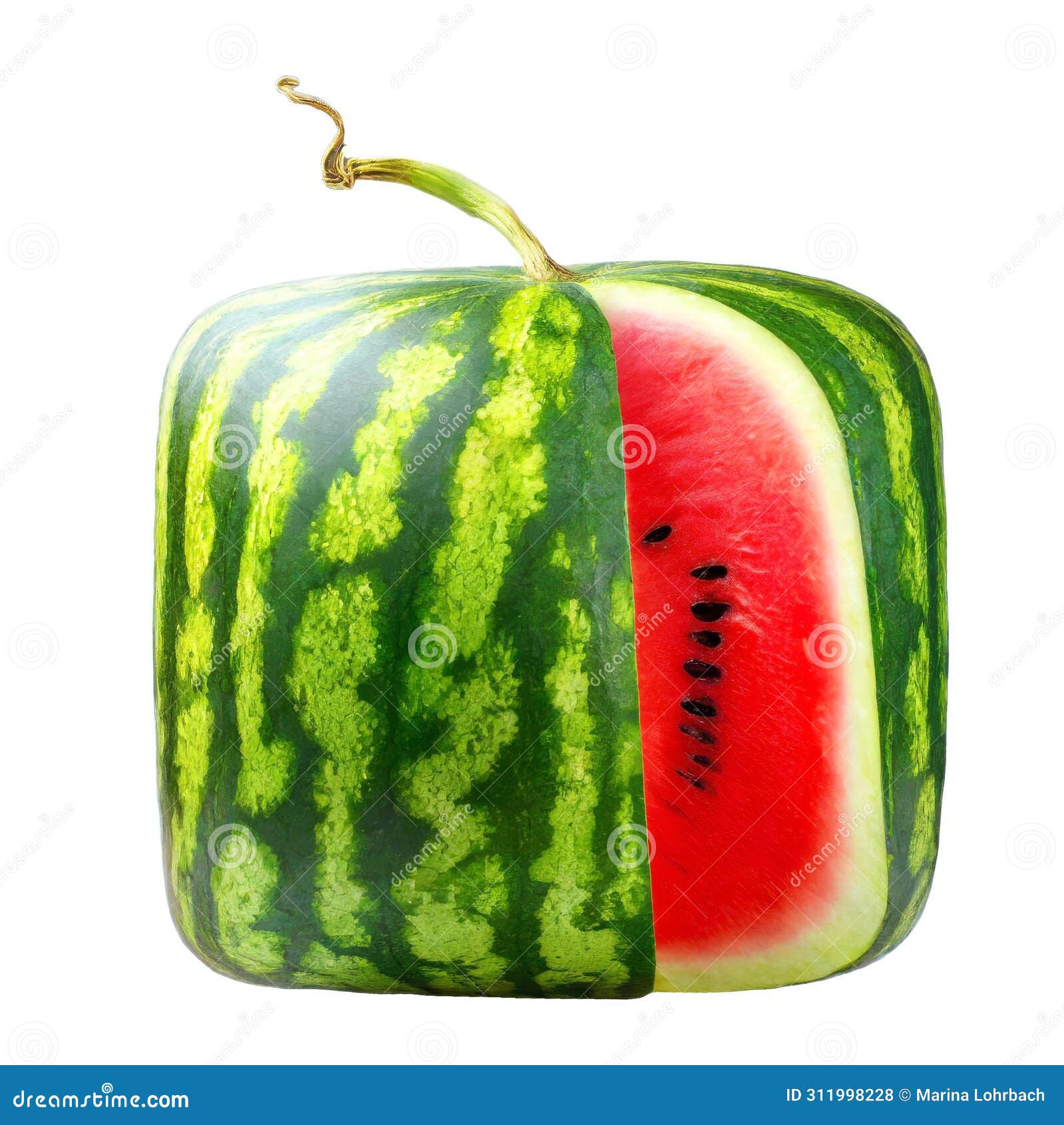 Space-saving Cube-shaped Watermelon from Japan Stock Illustration ...