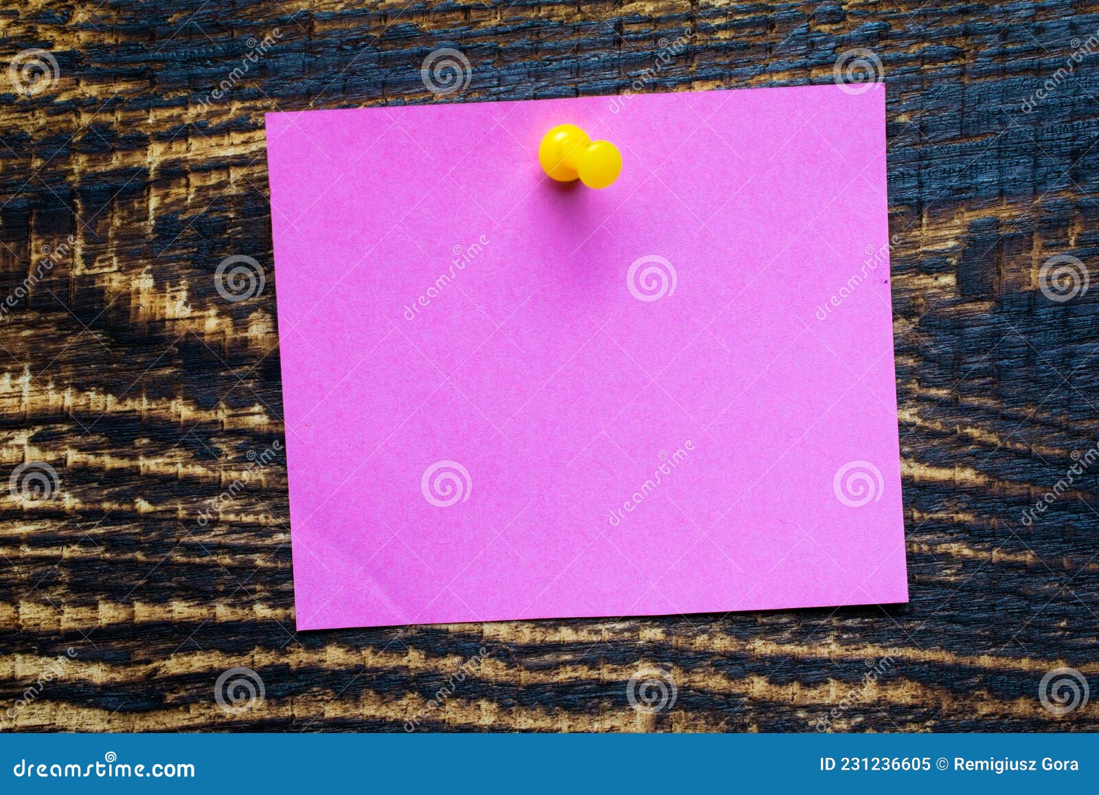 Space for Text, Blank Note on a Notice Board. Autumn Background with ...