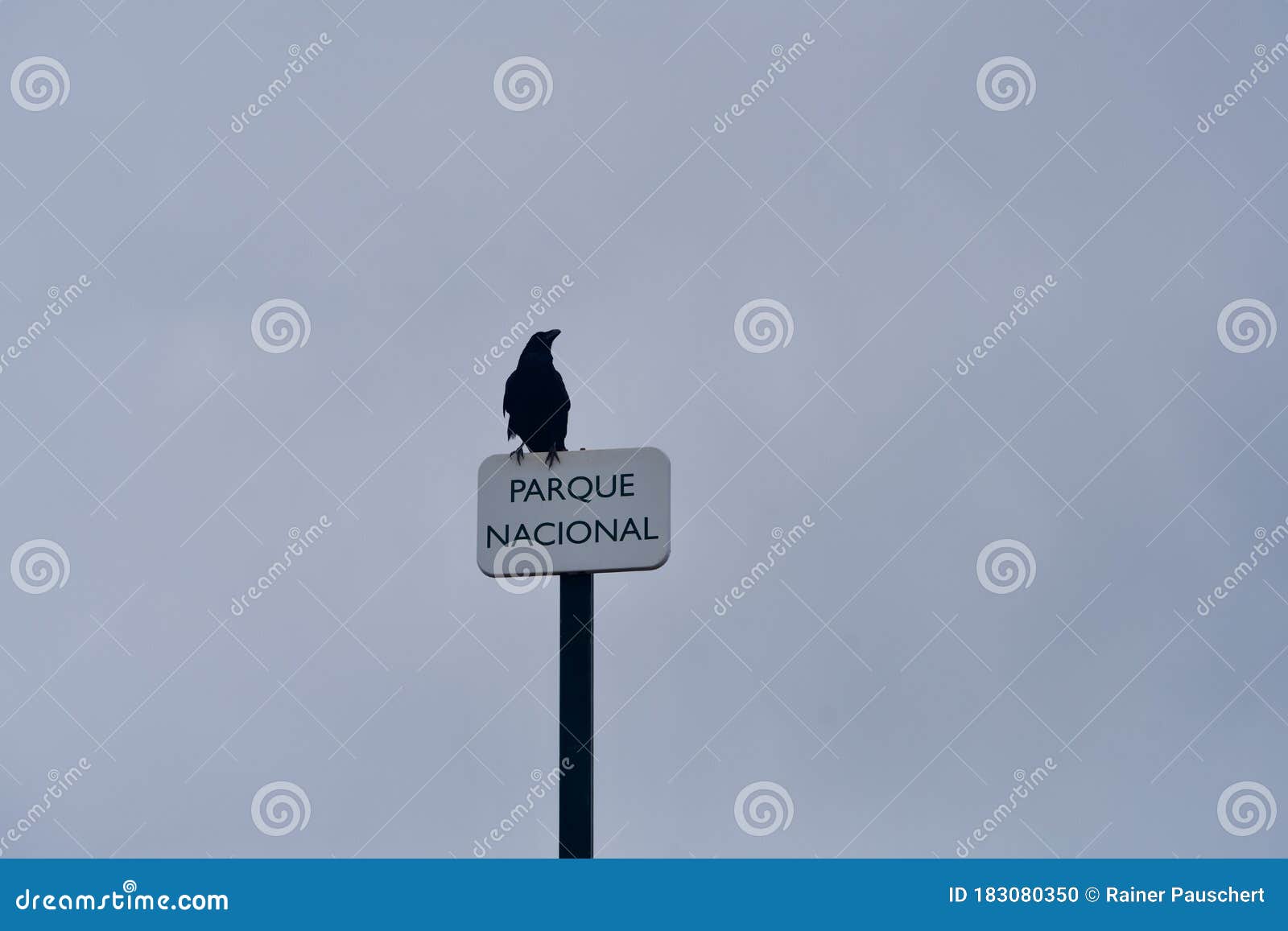 Space for your message stock photo. Image of grunge - 183080350