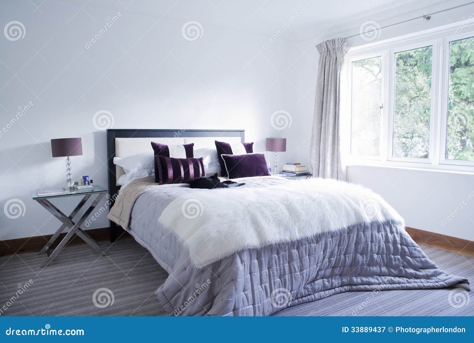Spacious Bedroom stock image. Image of wall, carpet, residence - 33889437