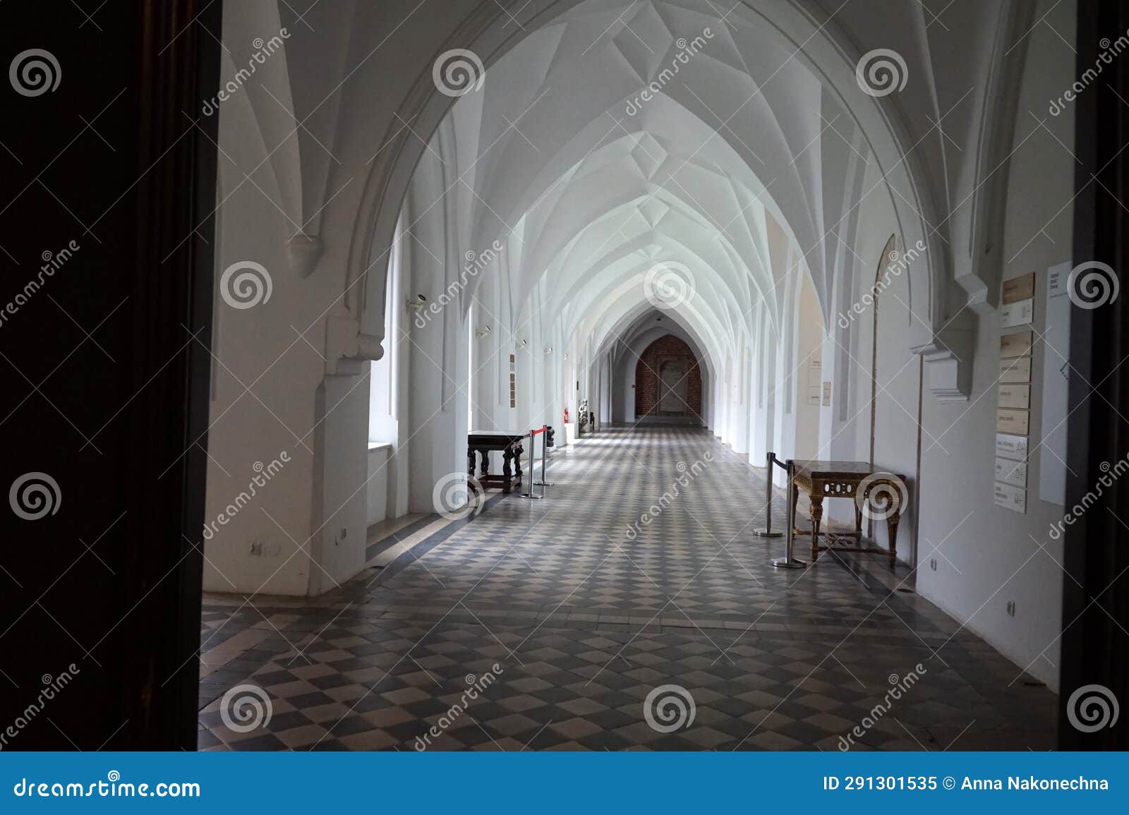 Museum Corridors With Colonnade, Windows And Ancient Bust In Par ...