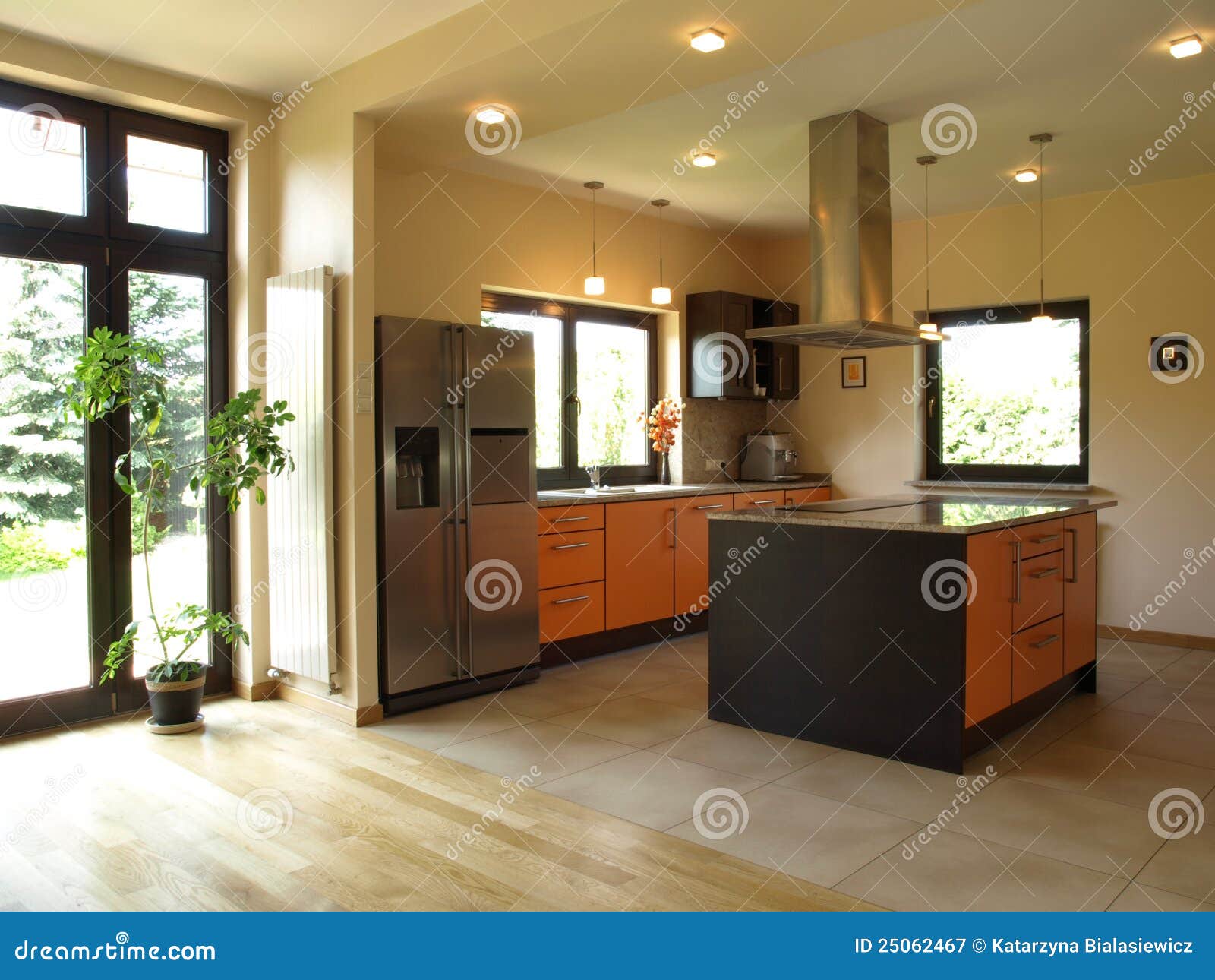 Spacious kitchen stock image. Image of decor, architecture - 25062467