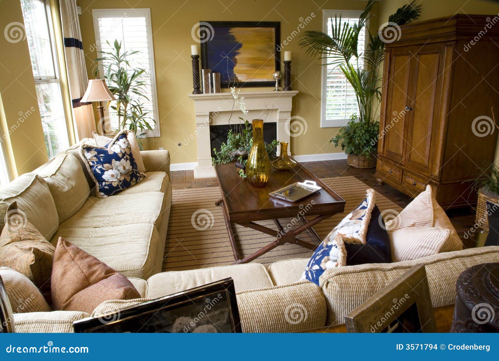 Spacious living room stock photo. Image of room, showcase - 3571794