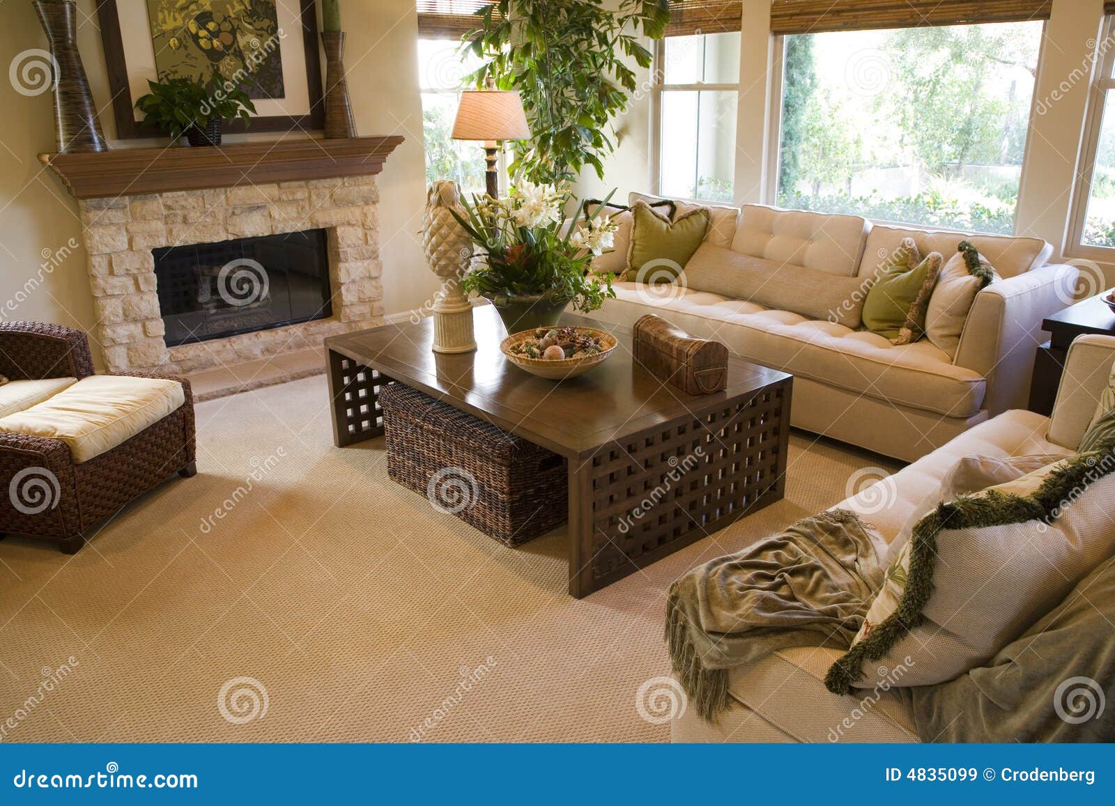 Spacious living room stock image. Image of lobby, decoration - 4835099