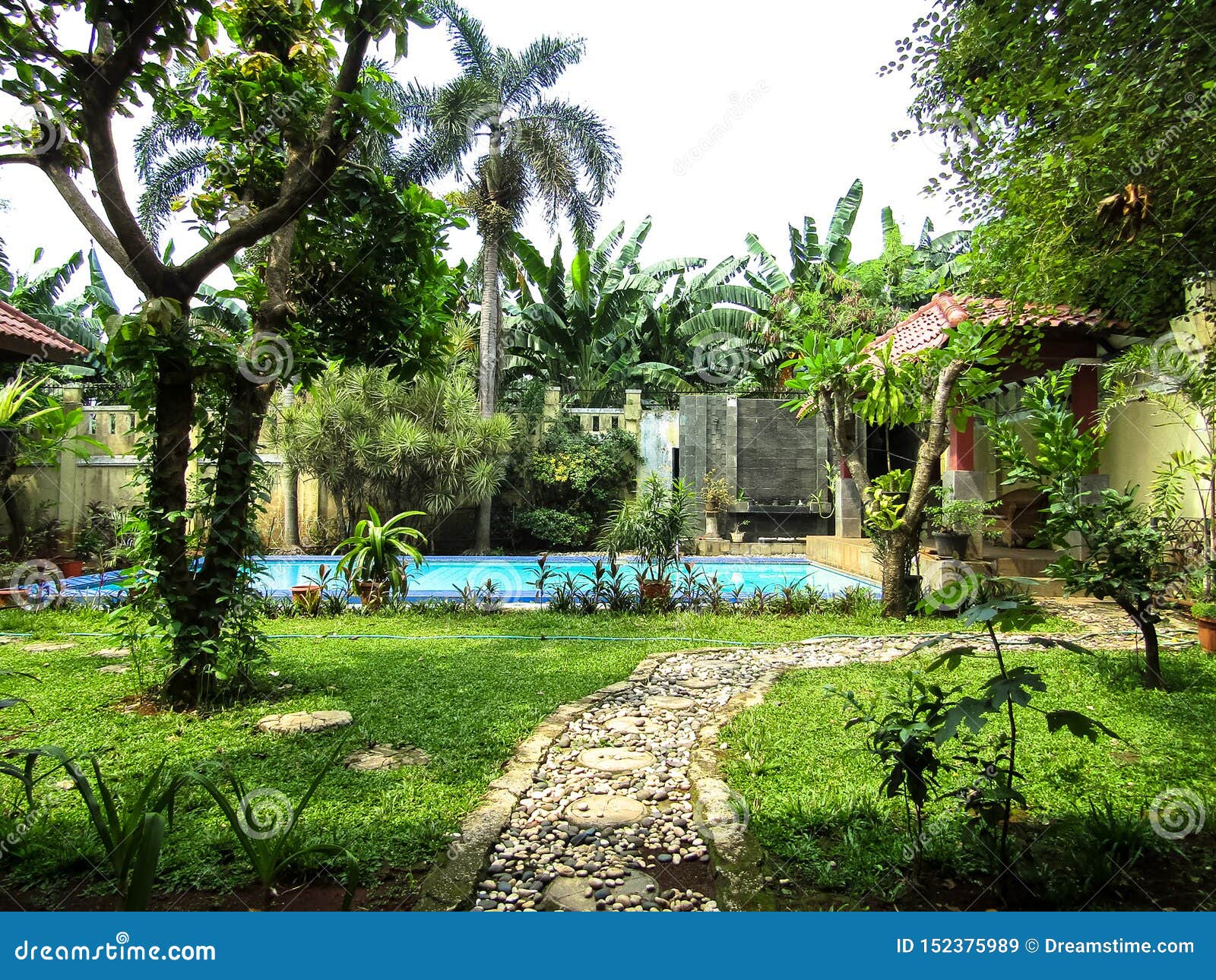 Spacious and Quiet Backyard with Swimming Pool Stock Image - Image of ...