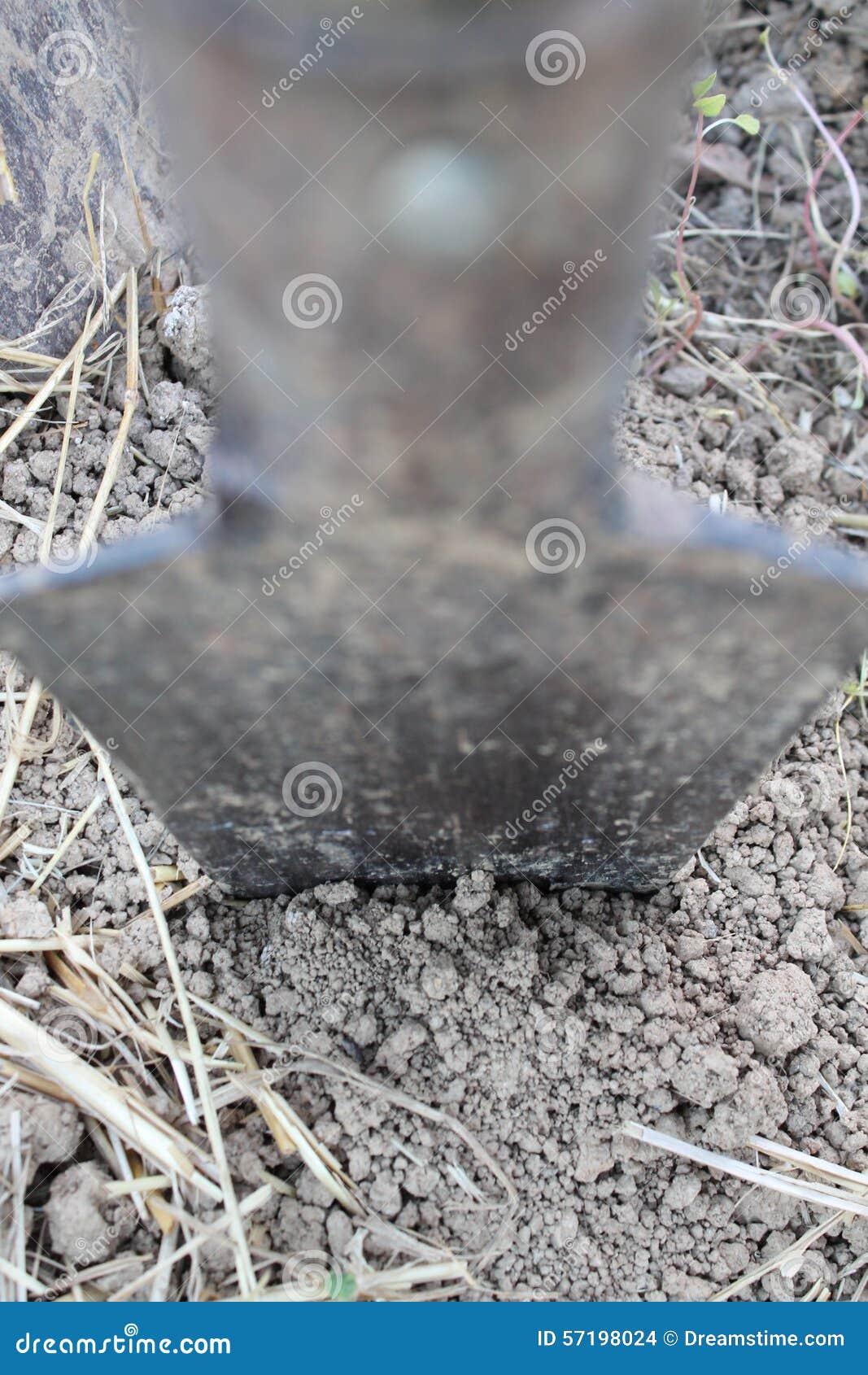 Spade in the dirt stock photo. Image of dirt, gardening - 57198024