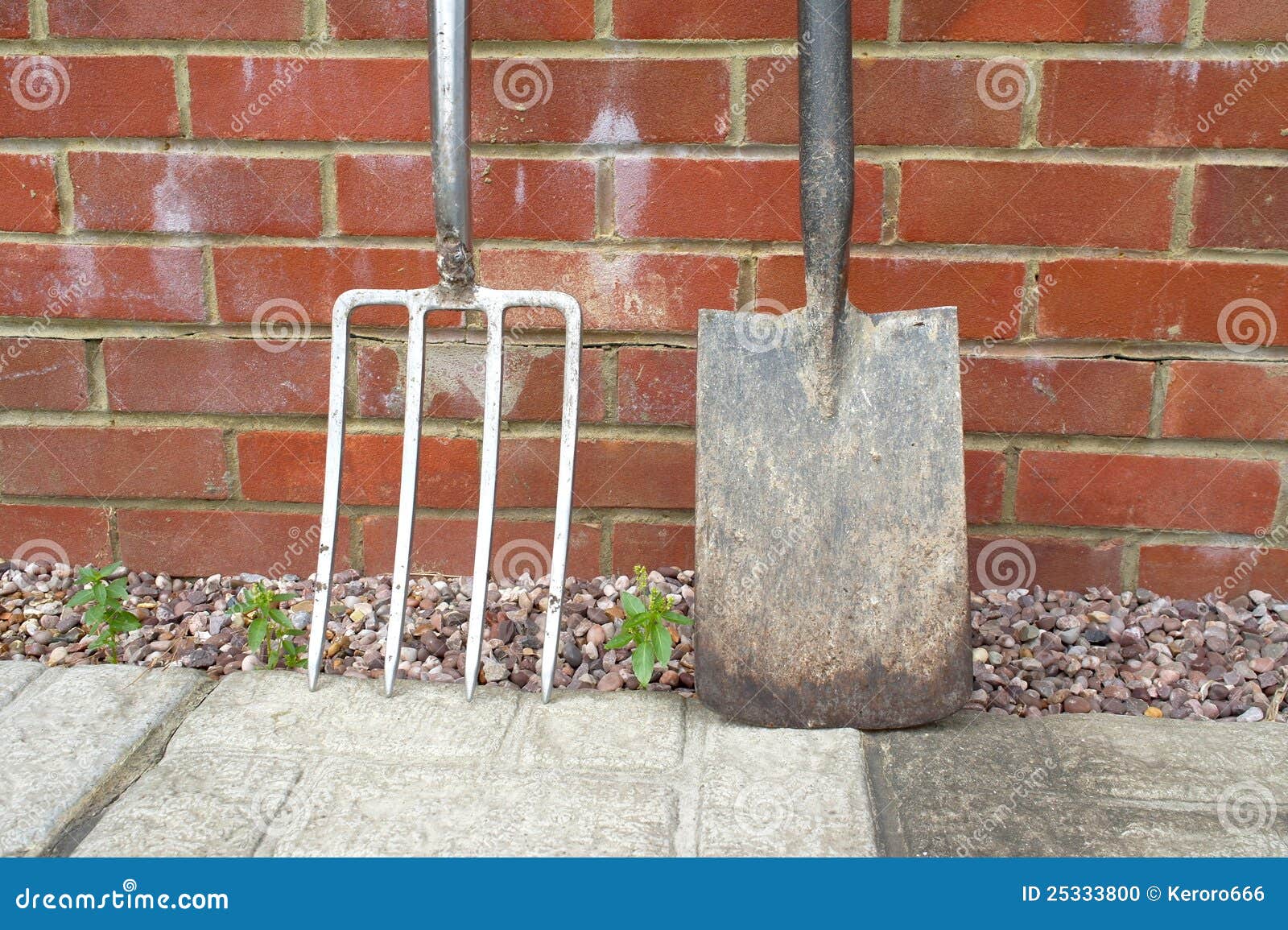 Spade and gardening fork stock photo. Image of fork, shovel - 25333800