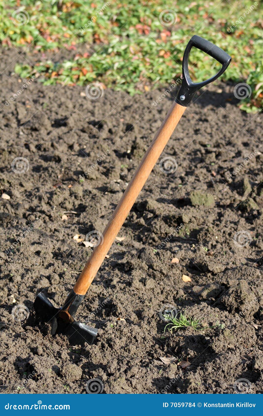 Spade in ground stock photo. Image of spade, gardening - 7059784