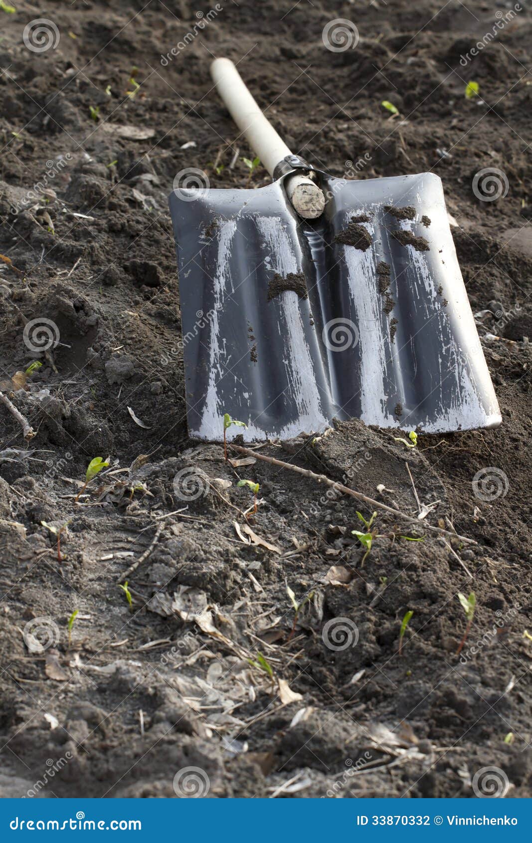 Spade on the lawn. stock photo. Image of outdoors, shovel - 33870332