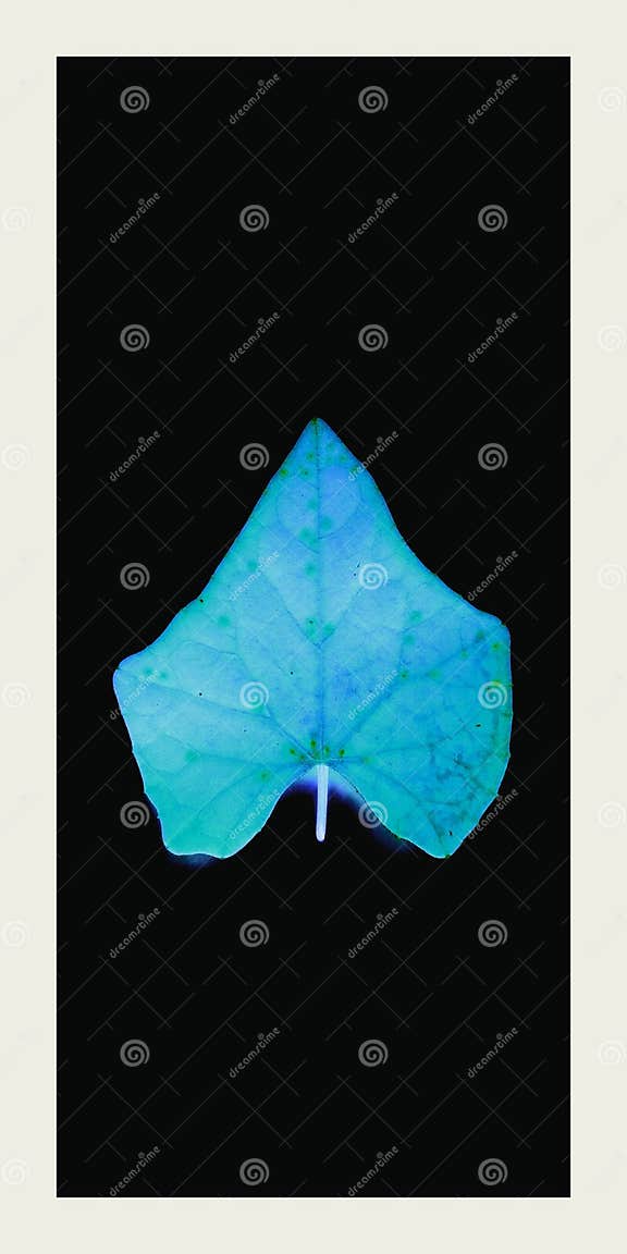 A Spade Shaped Blue Neon Leaf Stock Illustration - Illustration of ...