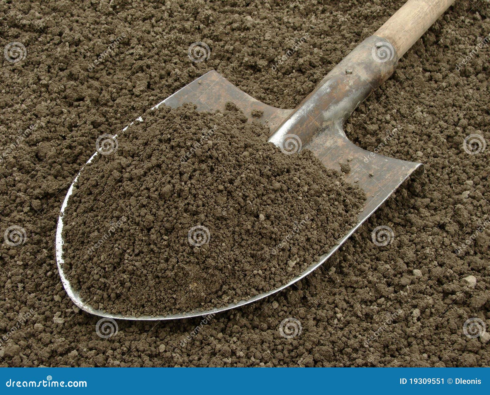 Spade with soil stock image. Image of tillage, country - 19309551