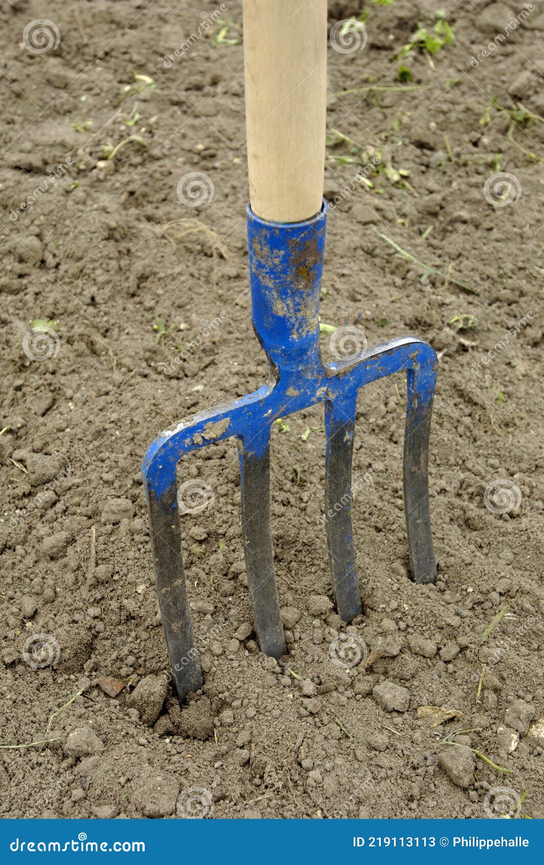 A Spade in the Soil of a Garden Stock Image - Image of nature, plant ...