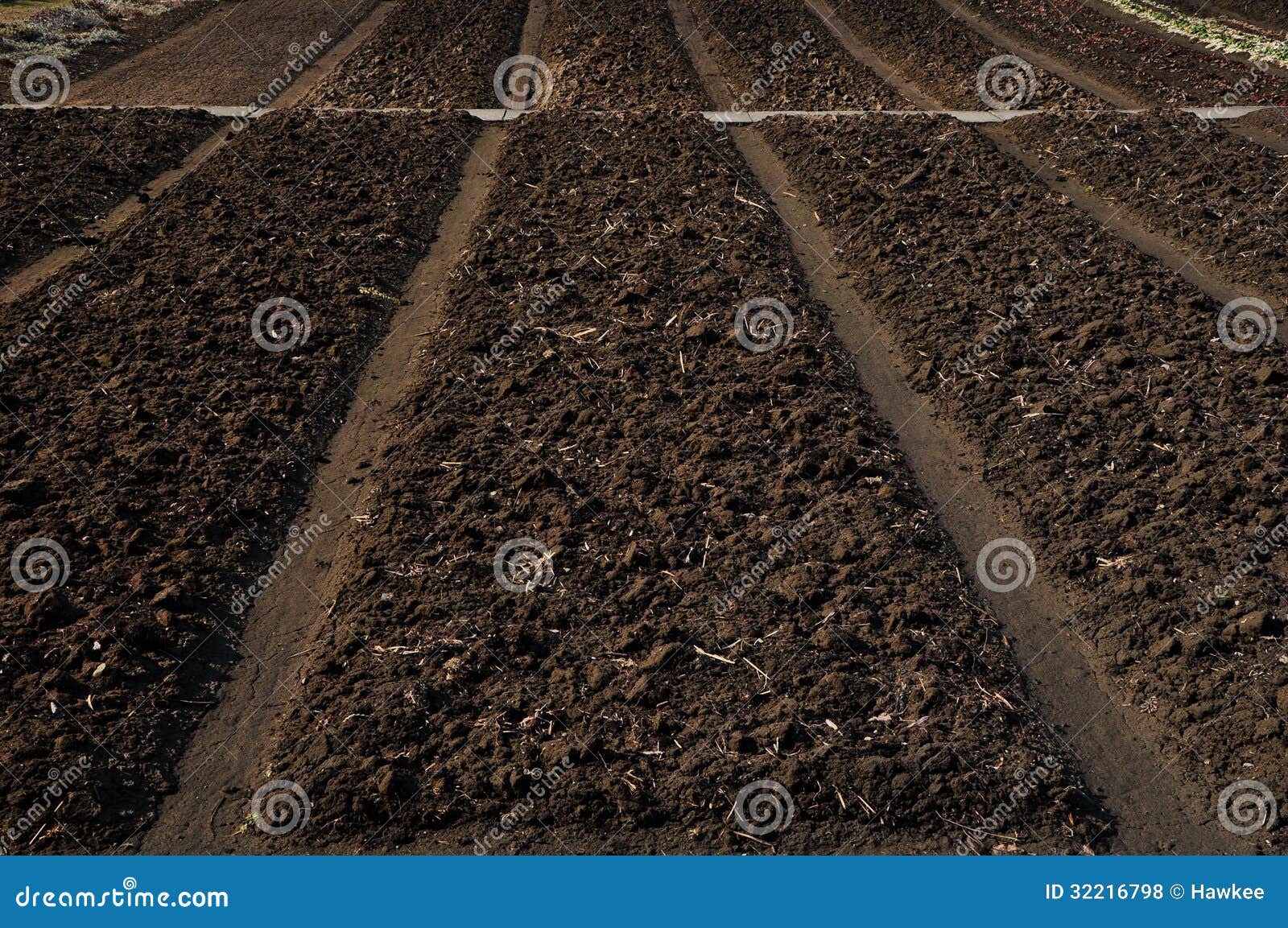 Spaded garden in spring stock photo. Image of gardenbed - 32216798