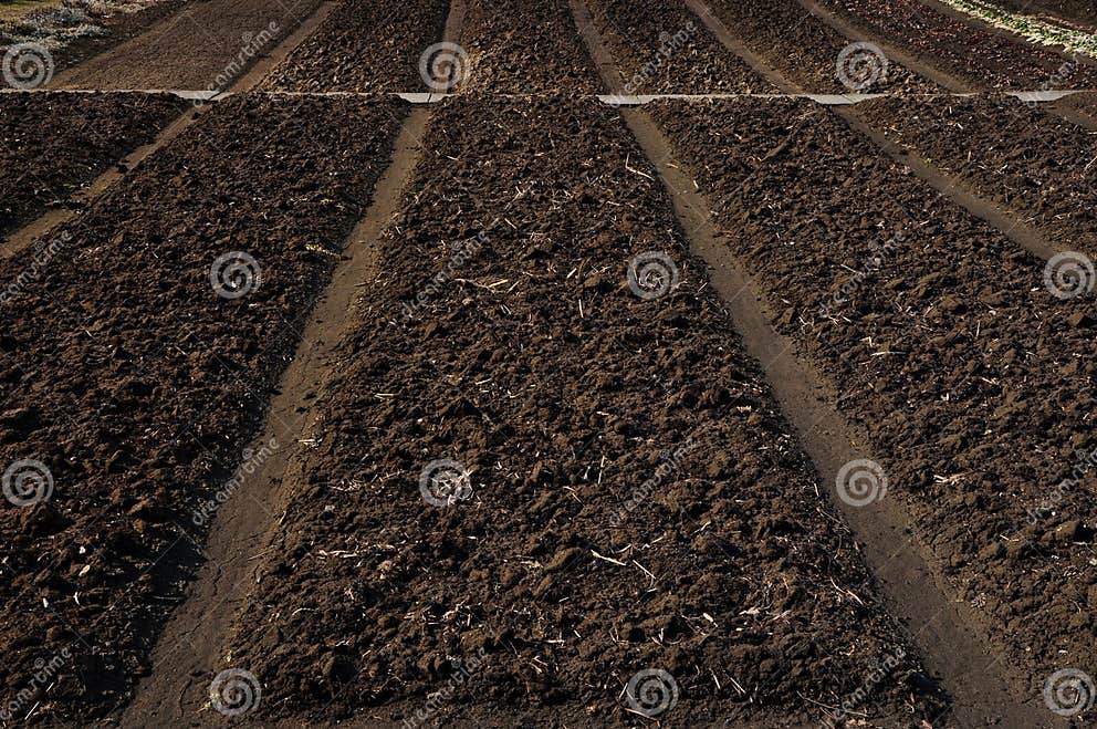Spaded garden in spring stock photo. Image of gardenbed - 32216798