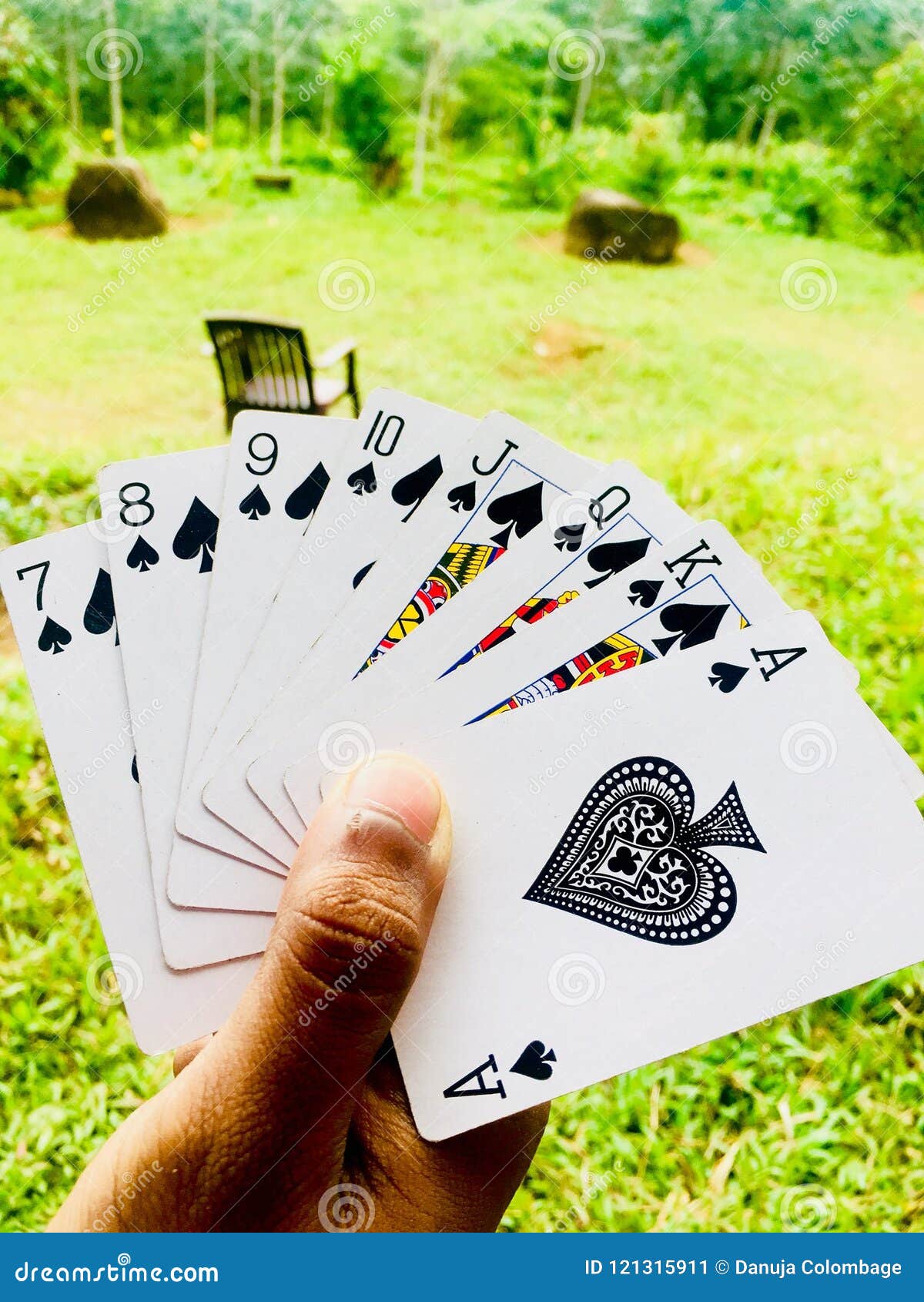 Spades stock image. Image of collection, card, cards - 121315911