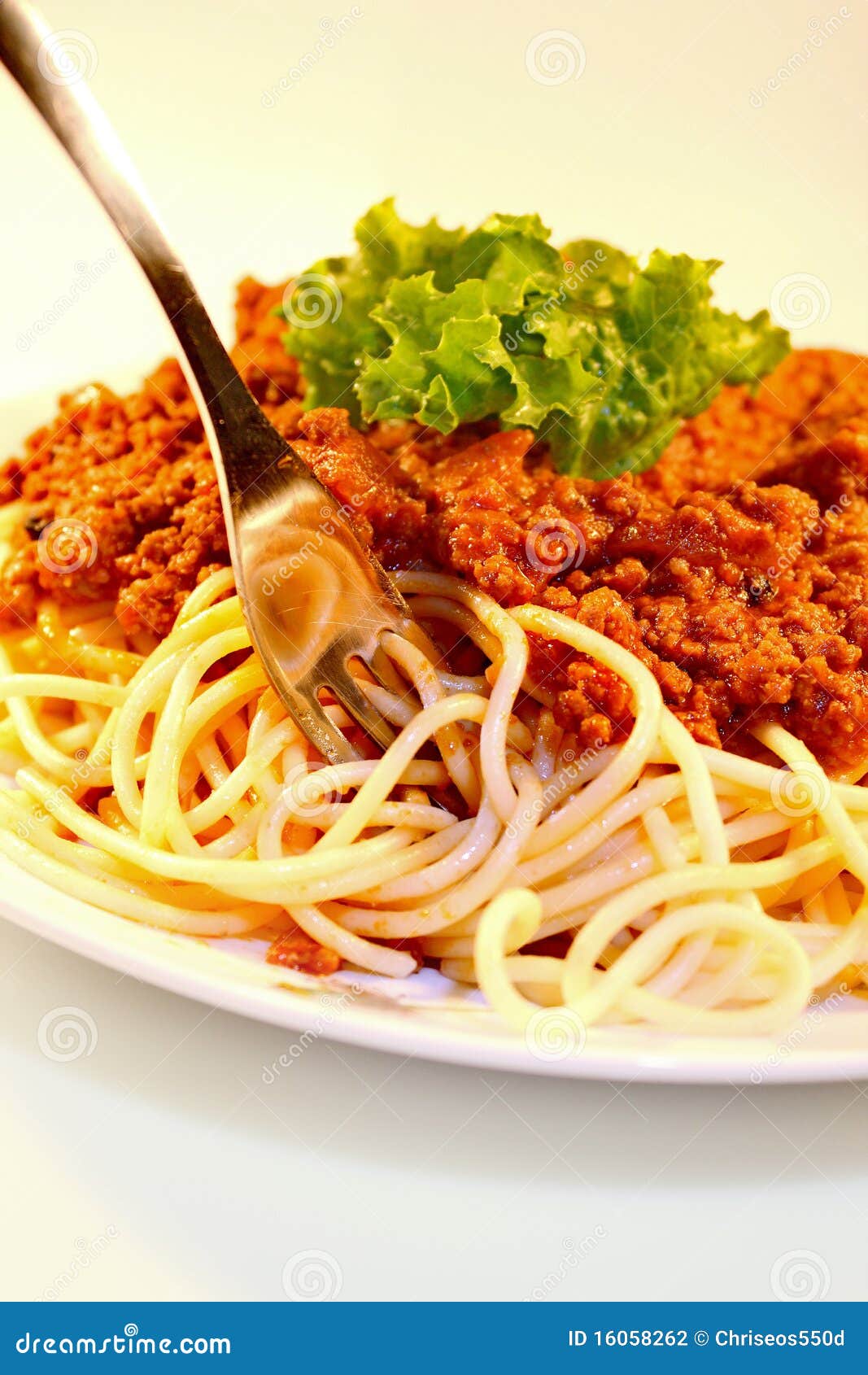 Spaghetti stock photo. Image of close, bologna, bolognese - 16058262