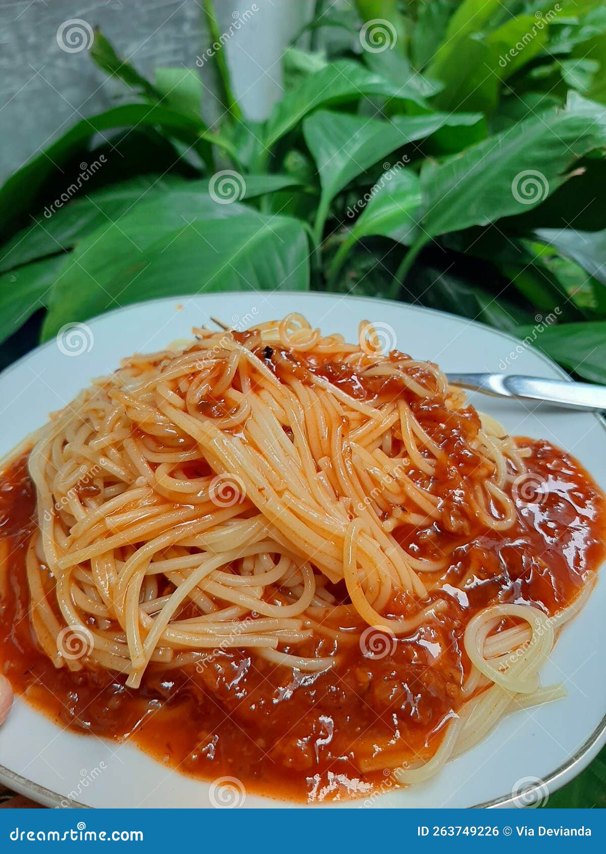 Spaghetti with Beef Bolognese Sauce Stock Photo - Image of beef ...