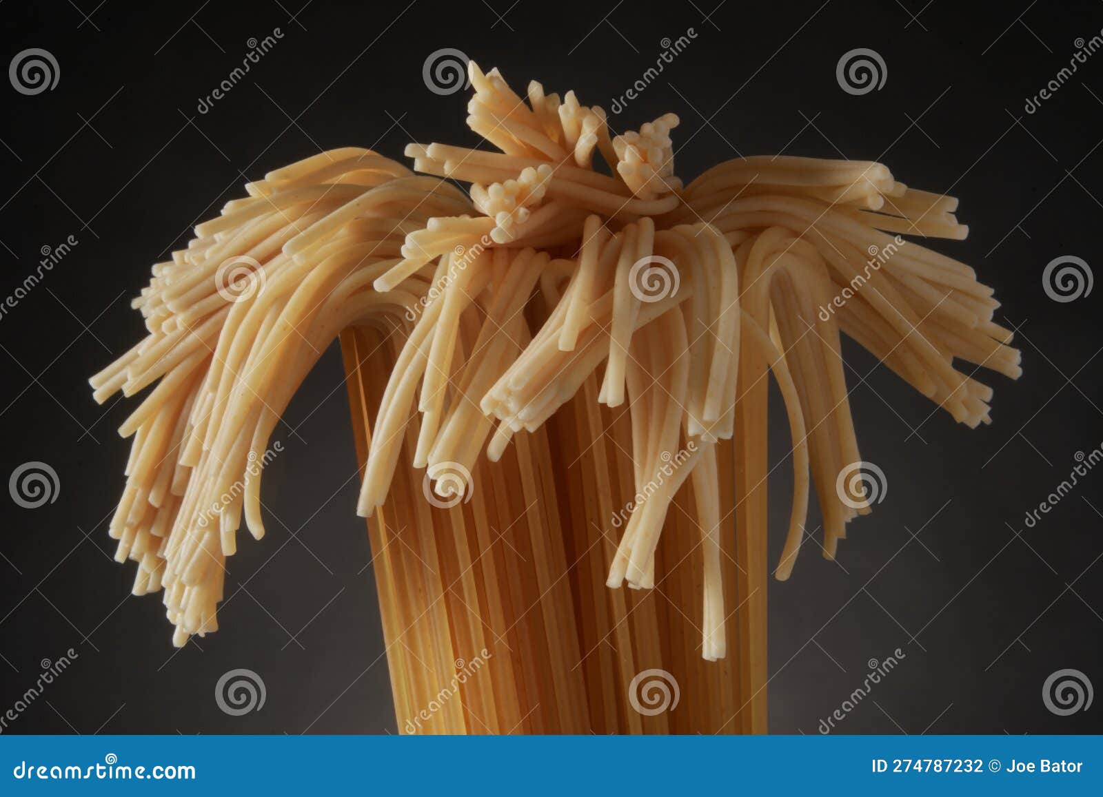 Spaghetti that Got Wet on the End Stock Photo - Image of fragrant ...