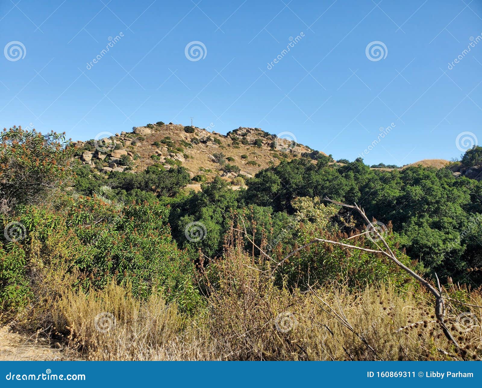 Spahn Ransh Hike stock image. Image of spahn, hike, desert - 160869311