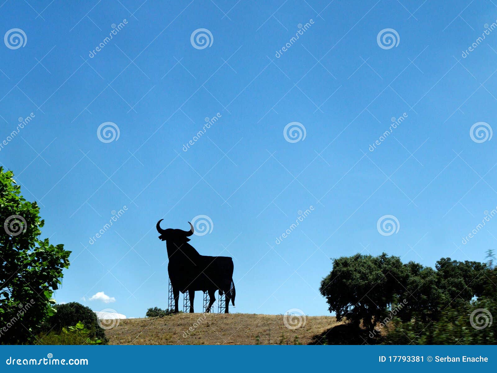 Spain bull stock image. Image of large, animal, outside - 17793381