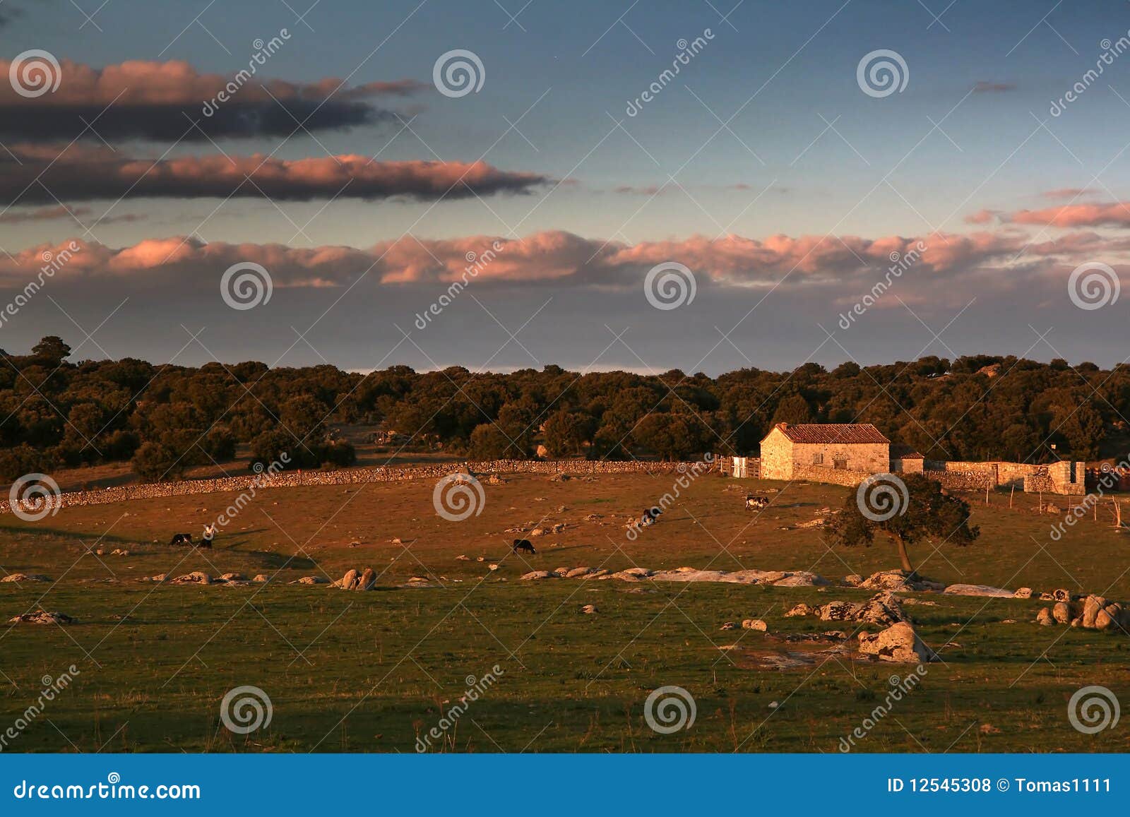 Spain countryside stock photo. Image of countryside, pasture - 12545308