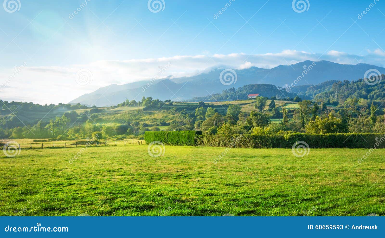 Spain Countryside Landscape Stock Image - Image of tree, scenic: 60659593