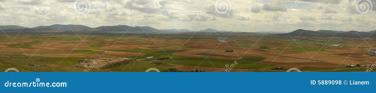 Spain field 02 stock photo. Image of fruits, evergreen - 5889098