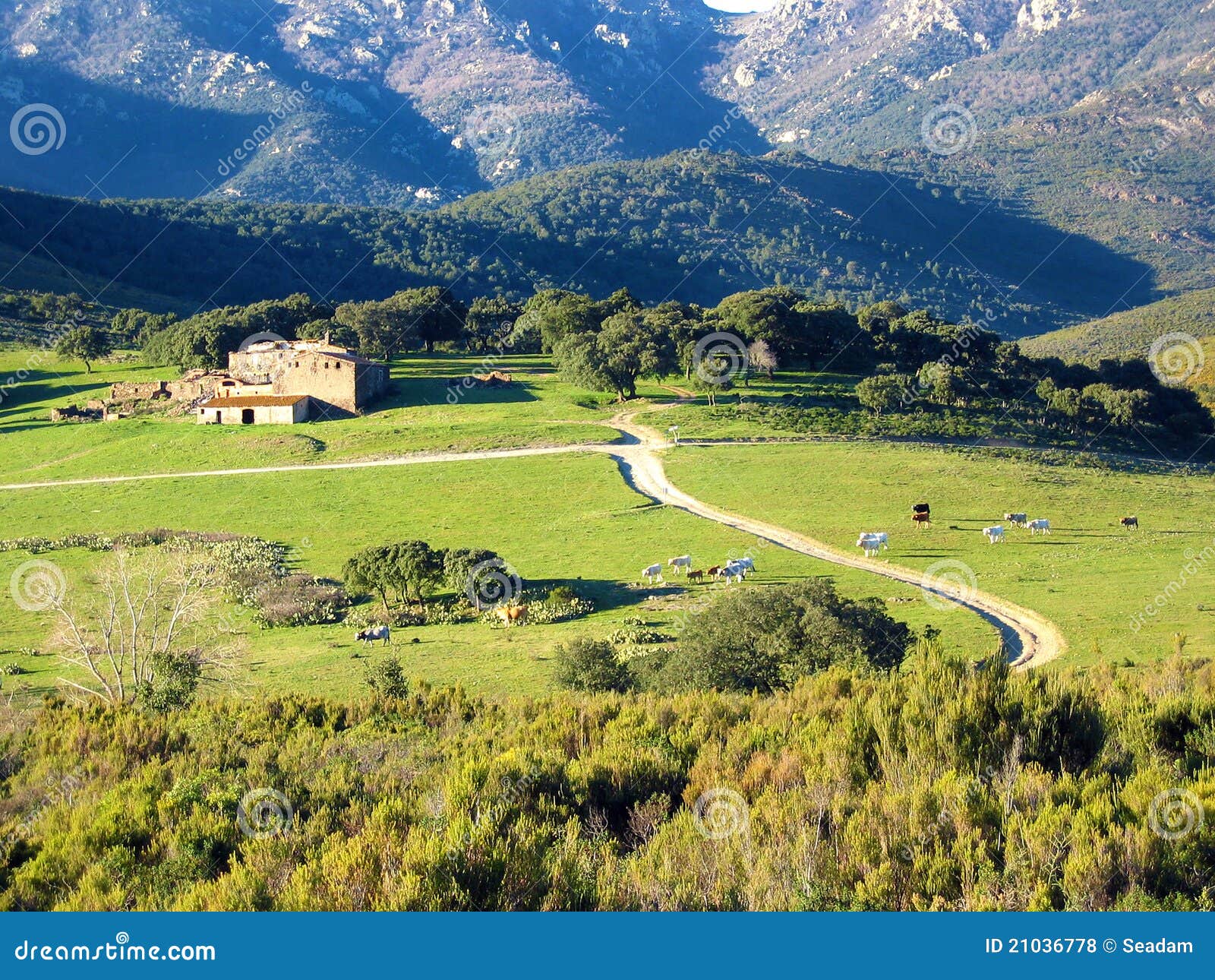 Spain mas pila stock photo. Image of abandoned, mediterranean - 21036778