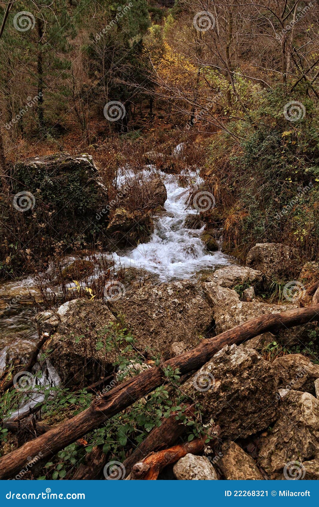 Spain: Source of the Mundo River Stock Image - Image of forest, cascade ...