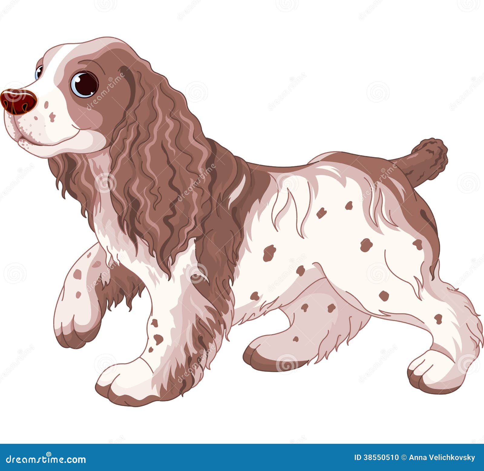 Spaniel dog stock vector. Illustration of animal, clipart - 38550510