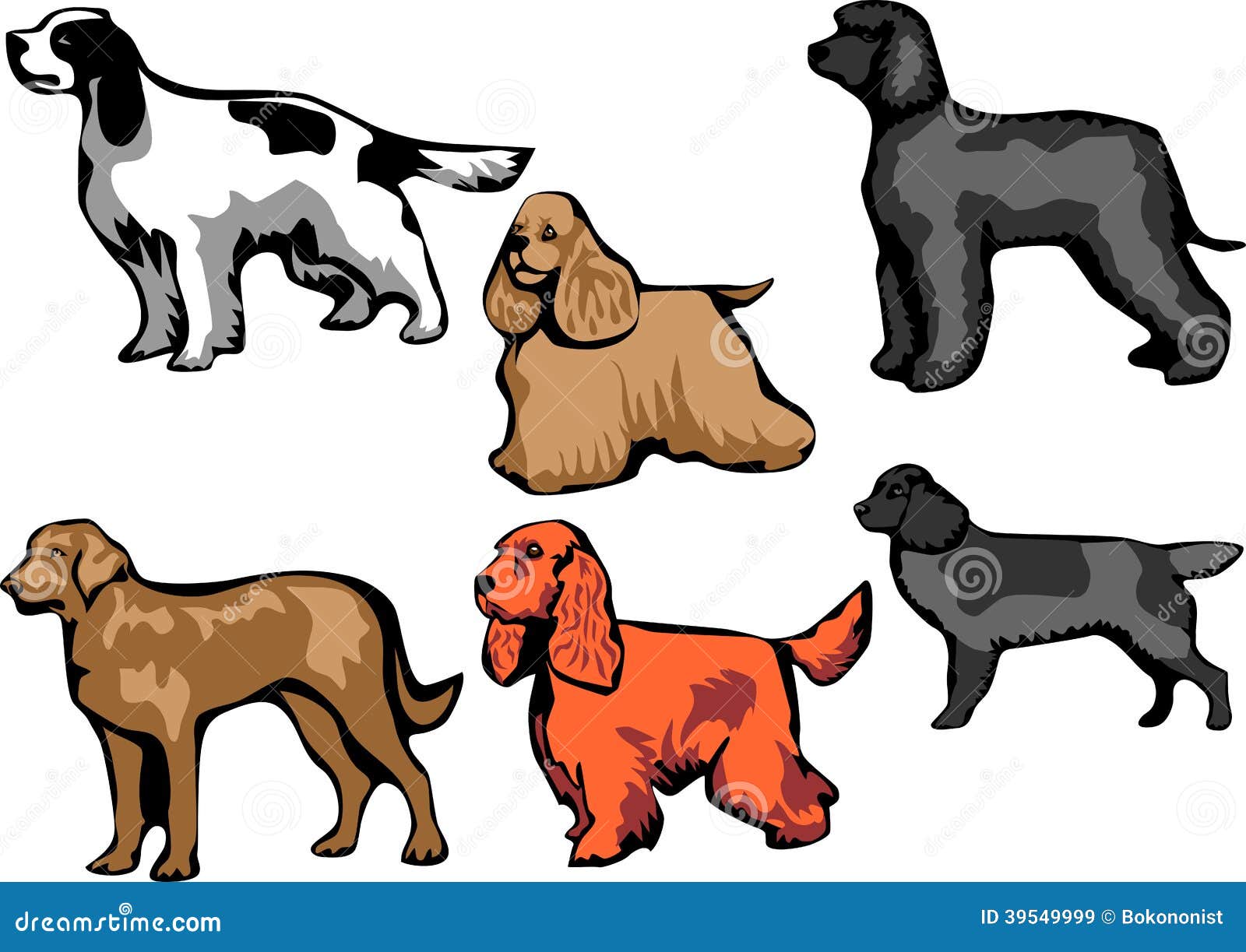Spaniel stock vector. Illustration of spaniel, dogs, purebred - 39549999
