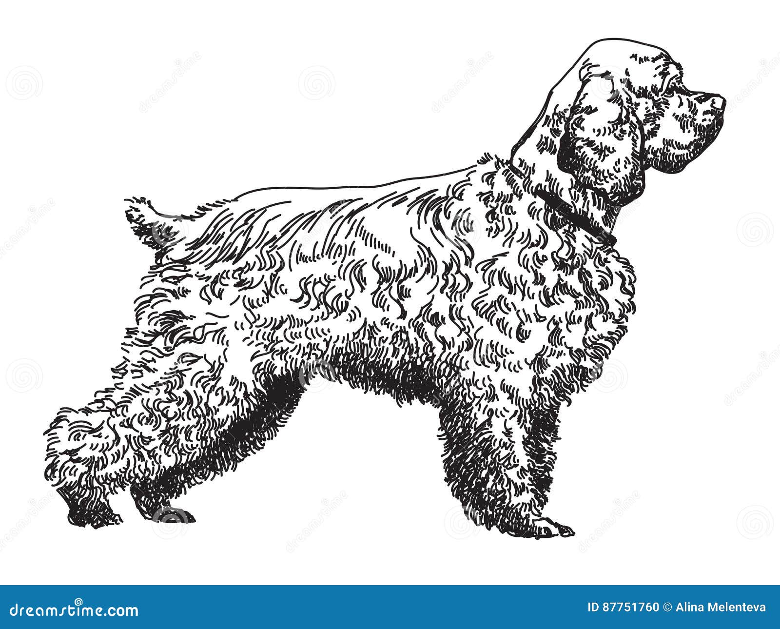Spaniel Vector Hand Drawing Illustration Stock Vector - Illustration of ...
